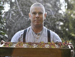 Planting Creative Inspiration: An Interview with Matt Mattus | Robert Half